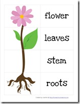 Garden Preschool Pack Printables